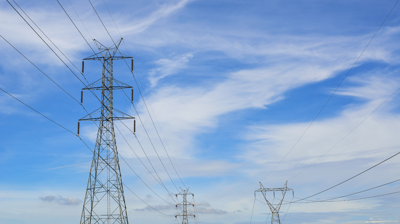 Guida completa al portale Terna Gaudì: tutto quello che devi sapere - Confronta Facile